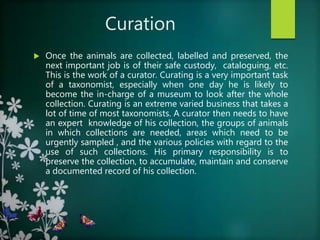 Taxonomic Collections, Preservation and Curating of Insects | PPTX