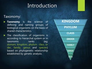 Taxonomic Collections, Preservation and Curating of Insects | PPTX