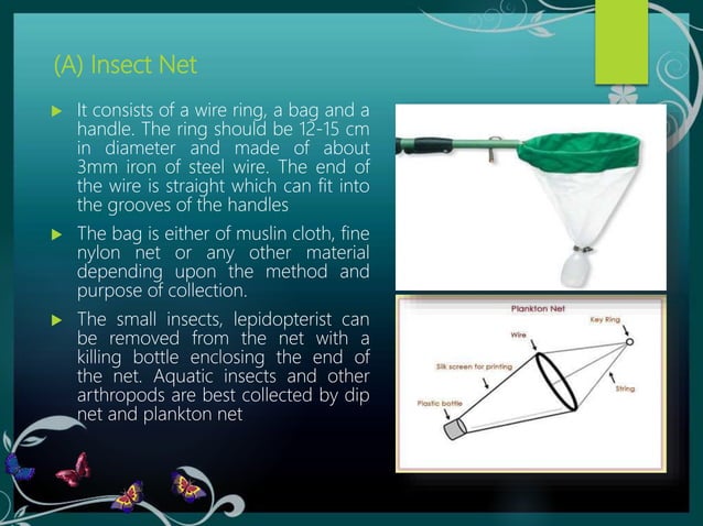 Taxonomic Collections, Preservation and Curating of Insects | PPTX ...