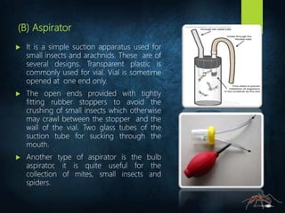 Taxonomic Collections, Preservation and Curating of Insects | PPTX