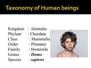 Taxonomic hierarchy | PPTX