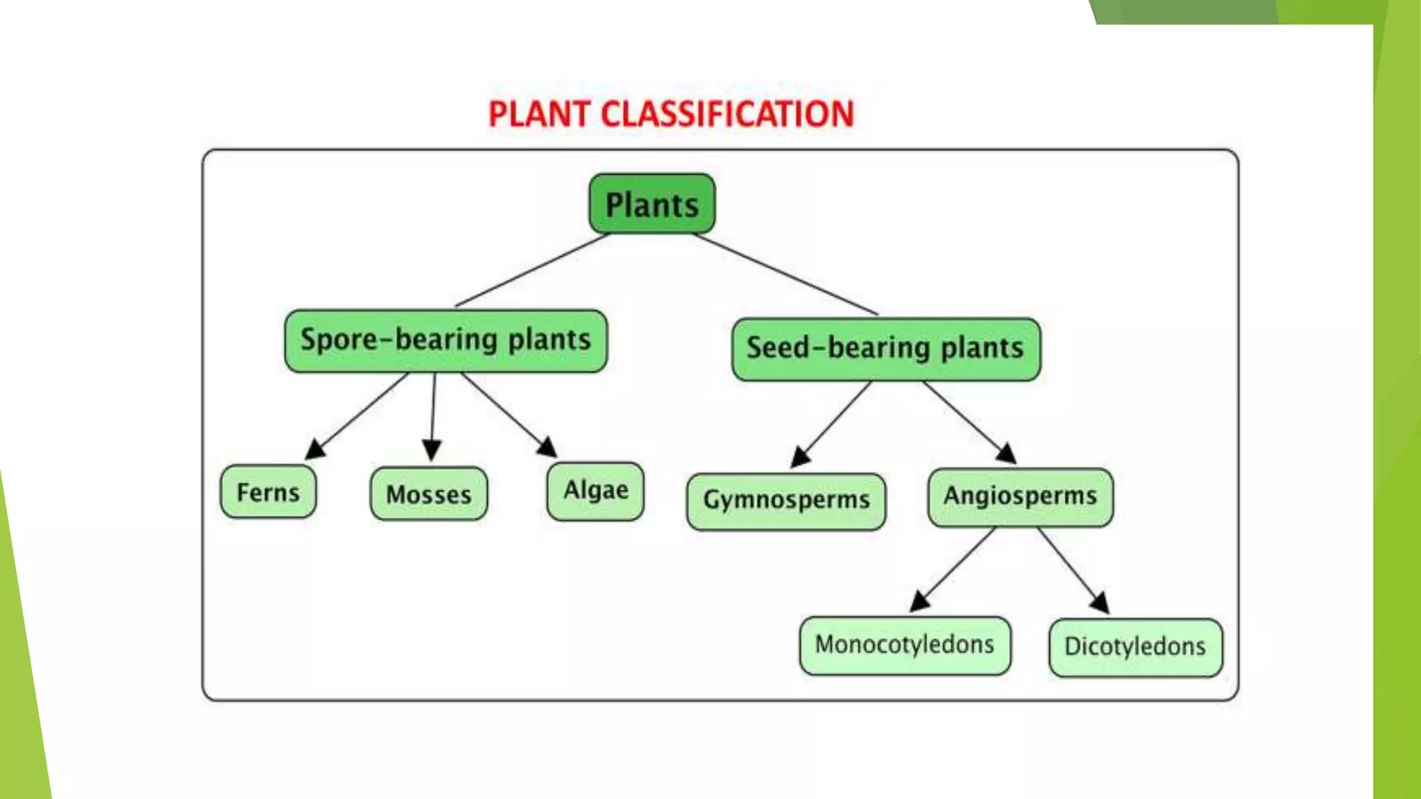 Taxonomic hierarchy | PPTX