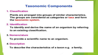 Taxonomic hierarchy | PPTX