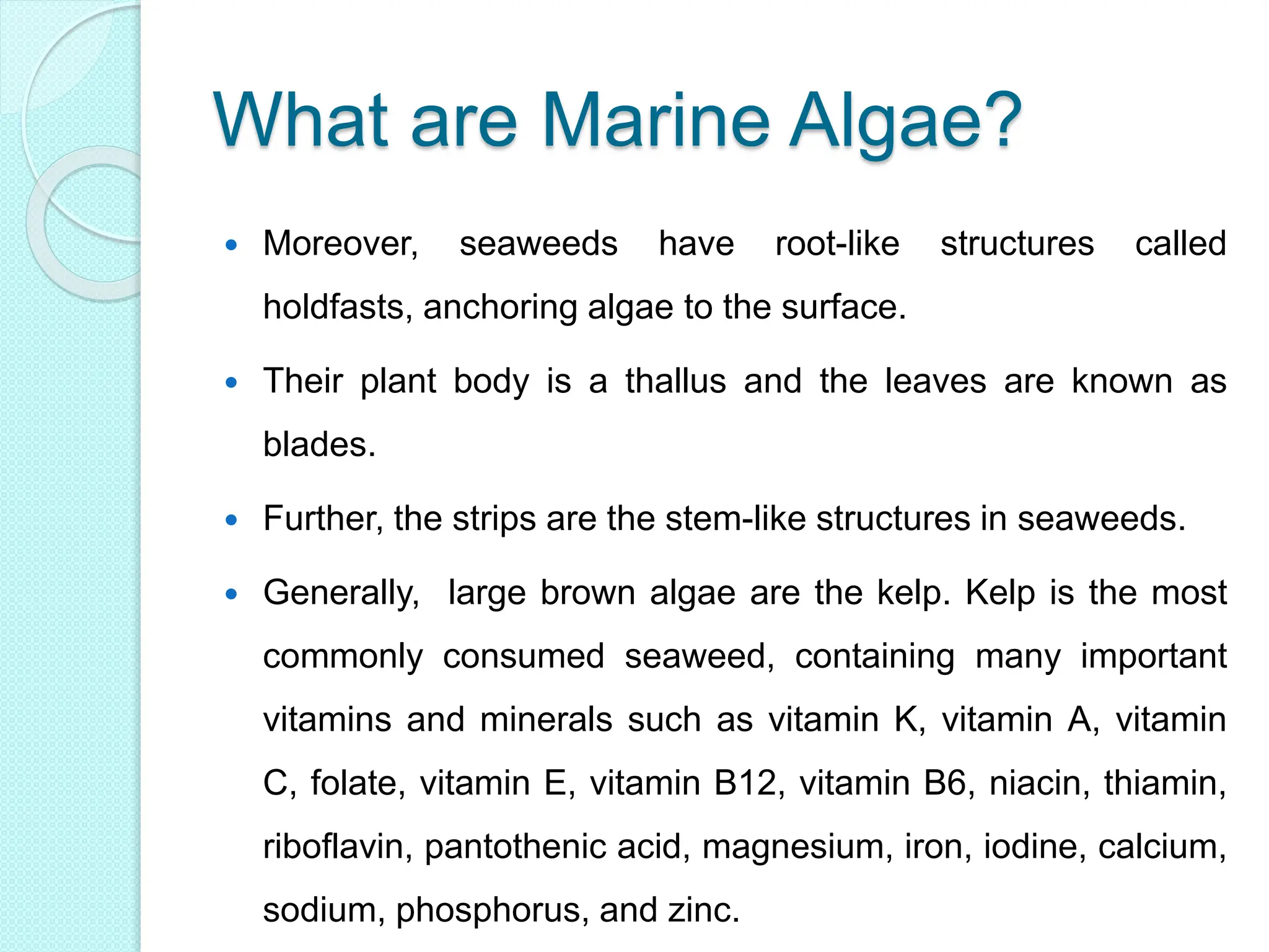 Taxonomic identification of micro and macro algae | PPTX