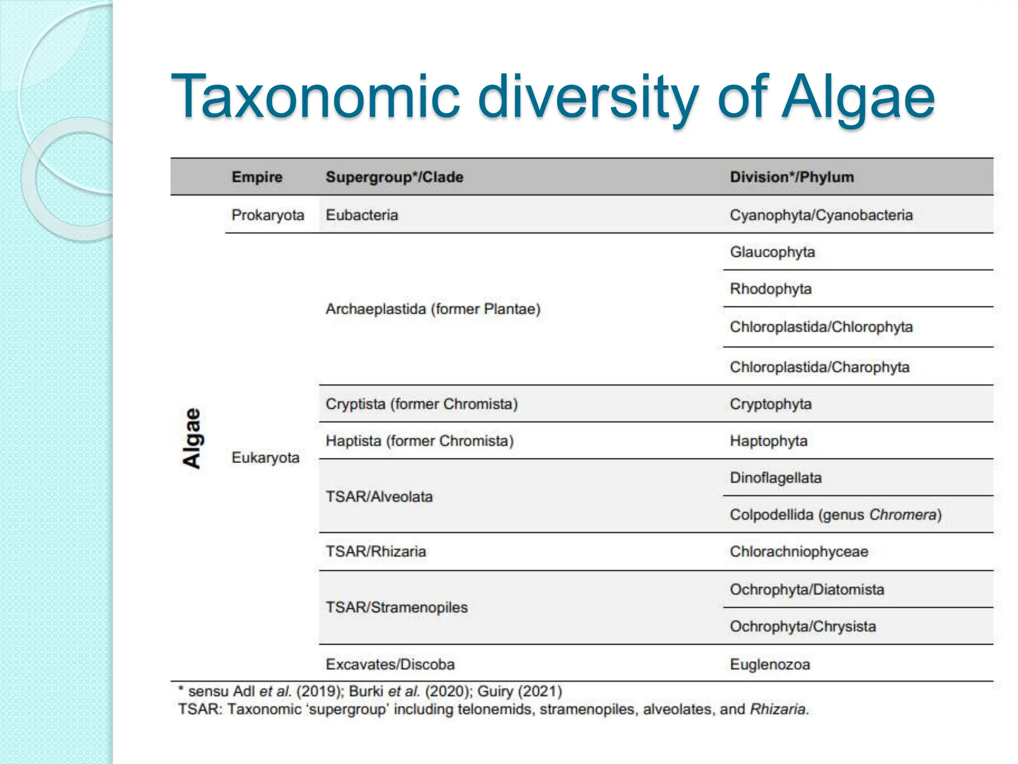 Taxonomic identification of micro and macro algae | PPTX