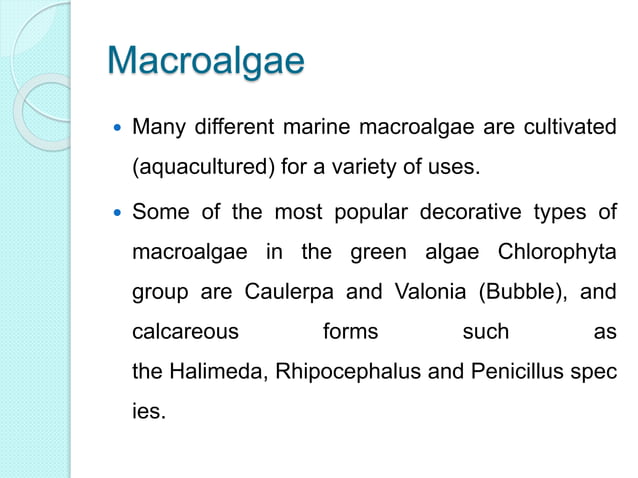 Taxonomic identification of micro and macro algae | PPTX