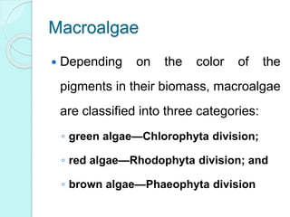 Taxonomic identification of micro and macro algae | PPTX
