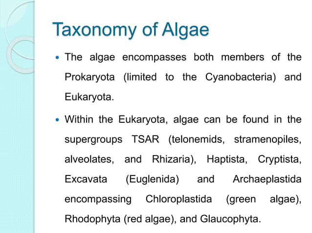 Taxonomic identification of micro and macro algae | PPTX