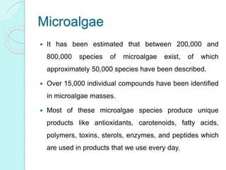 Taxonomic identification of micro and macro algae | PPTX