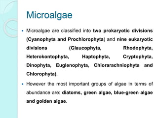 Taxonomic identification of micro and macro algae | PPTX