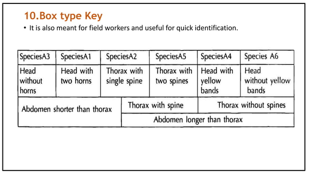 Taxonomic key | PPTX