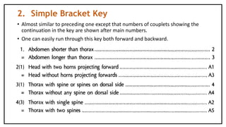 Taxonomic key | PPTX