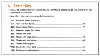 Taxonomic key | PPTX
