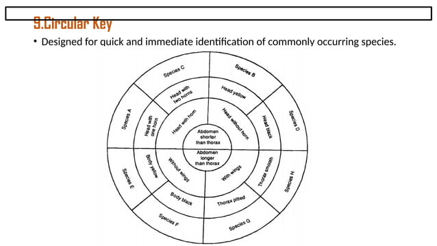 Taxonomic key..........................pptx