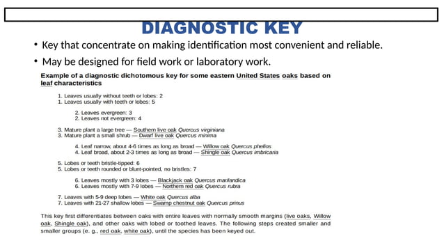 Taxonomic key..........................pptx