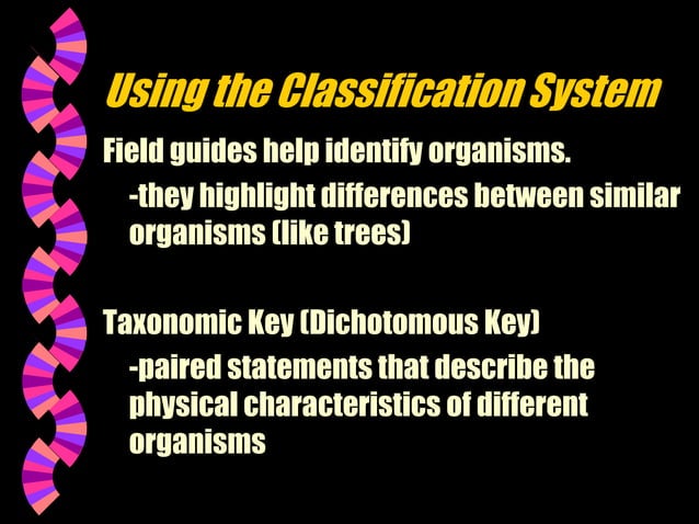 Taxonomic Key Powerpoint.ppt | Gardening | Home & Garden