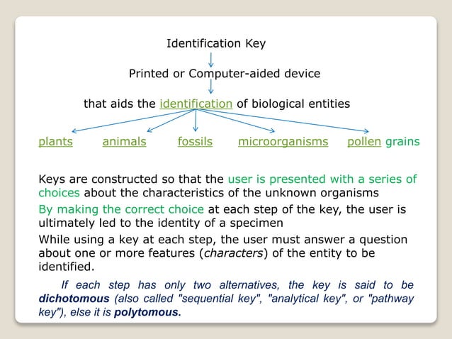 Taxonomic keys | PPTX