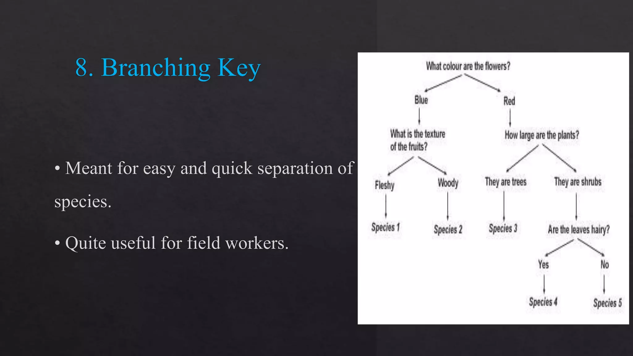TAXONOMIC KEYS- Arshima Shaji.pptx