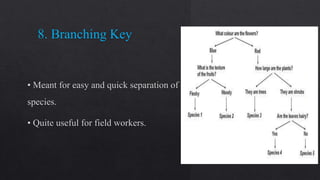TAXONOMIC KEYS- Arshima Shaji.pptx