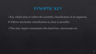 TAXONOMIC KEYS- Arshima Shaji.pptx