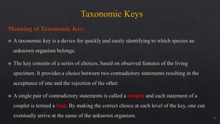 TAXONOMIC KEYS- Arshima Shaji.pptx