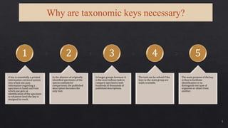 TAXONOMIC KEYS- Arshima Shaji.pptx