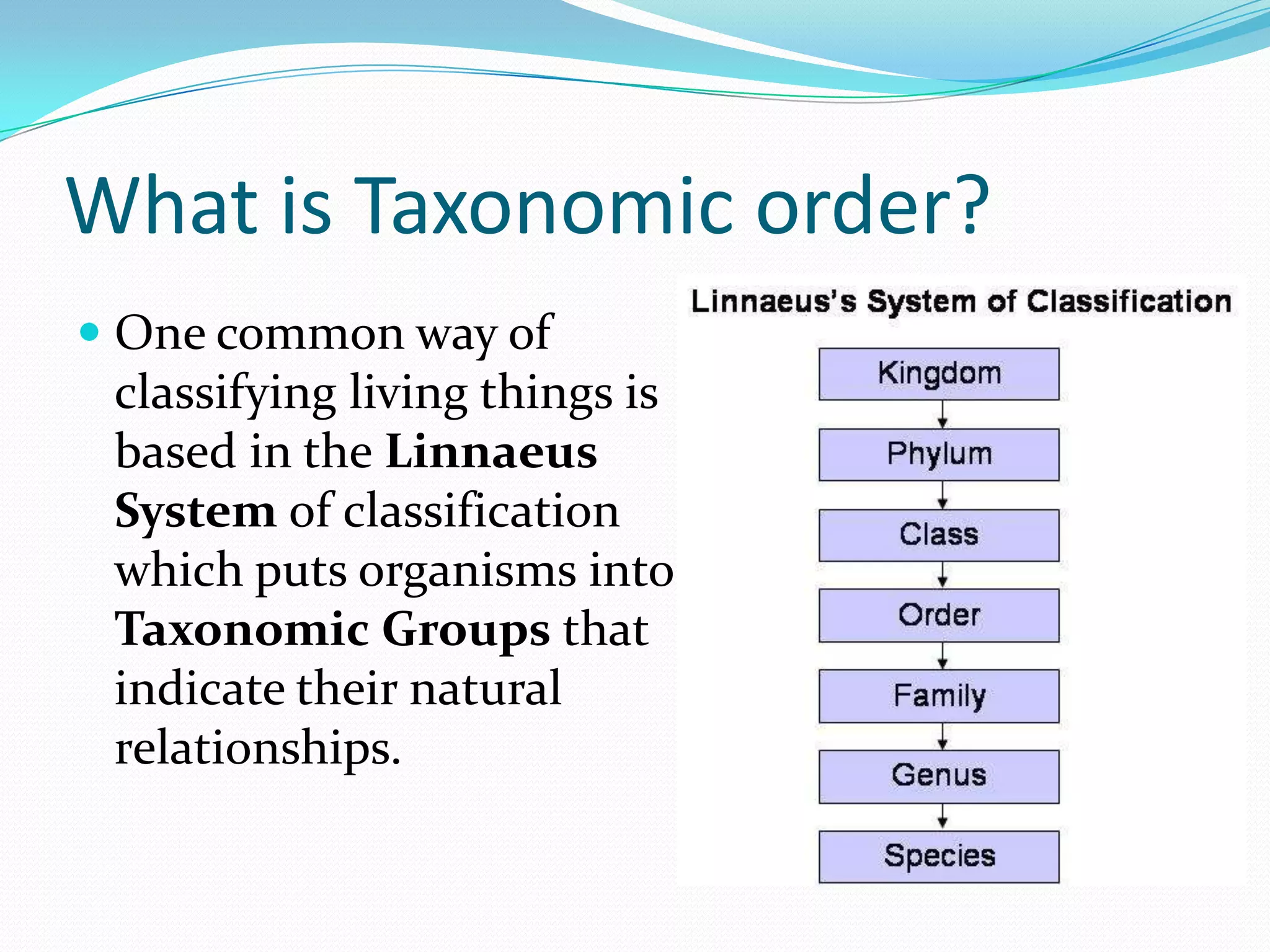 Taxonomic order | PPTX | Biological Sciences | Science