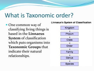 Taxonomic order | PPTX