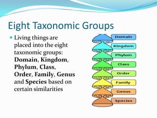 Taxonomic order | PPTX