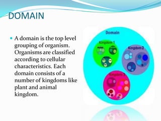 Taxonomic order | PPTX