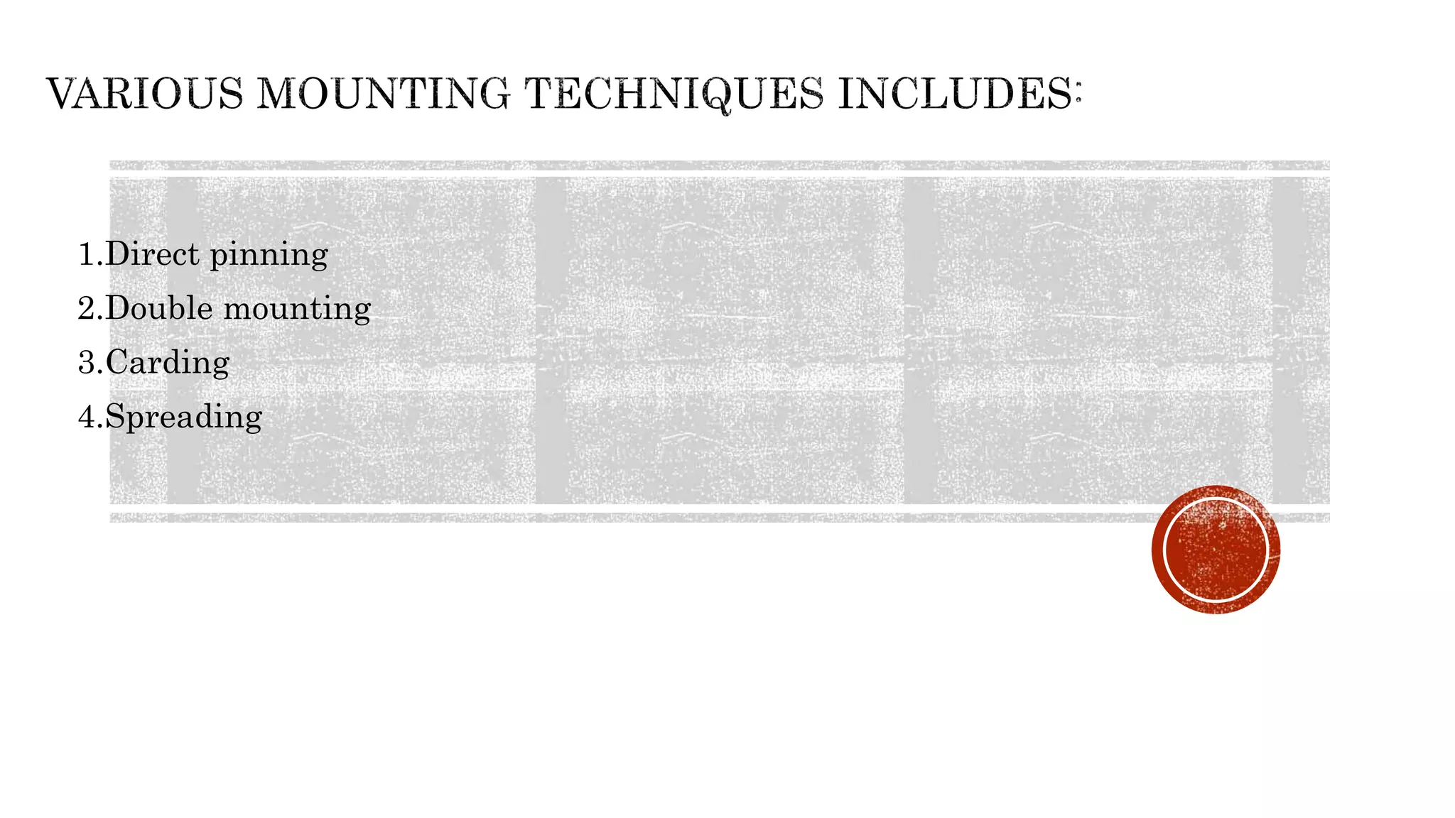 Taxonomic procedure.pptx
