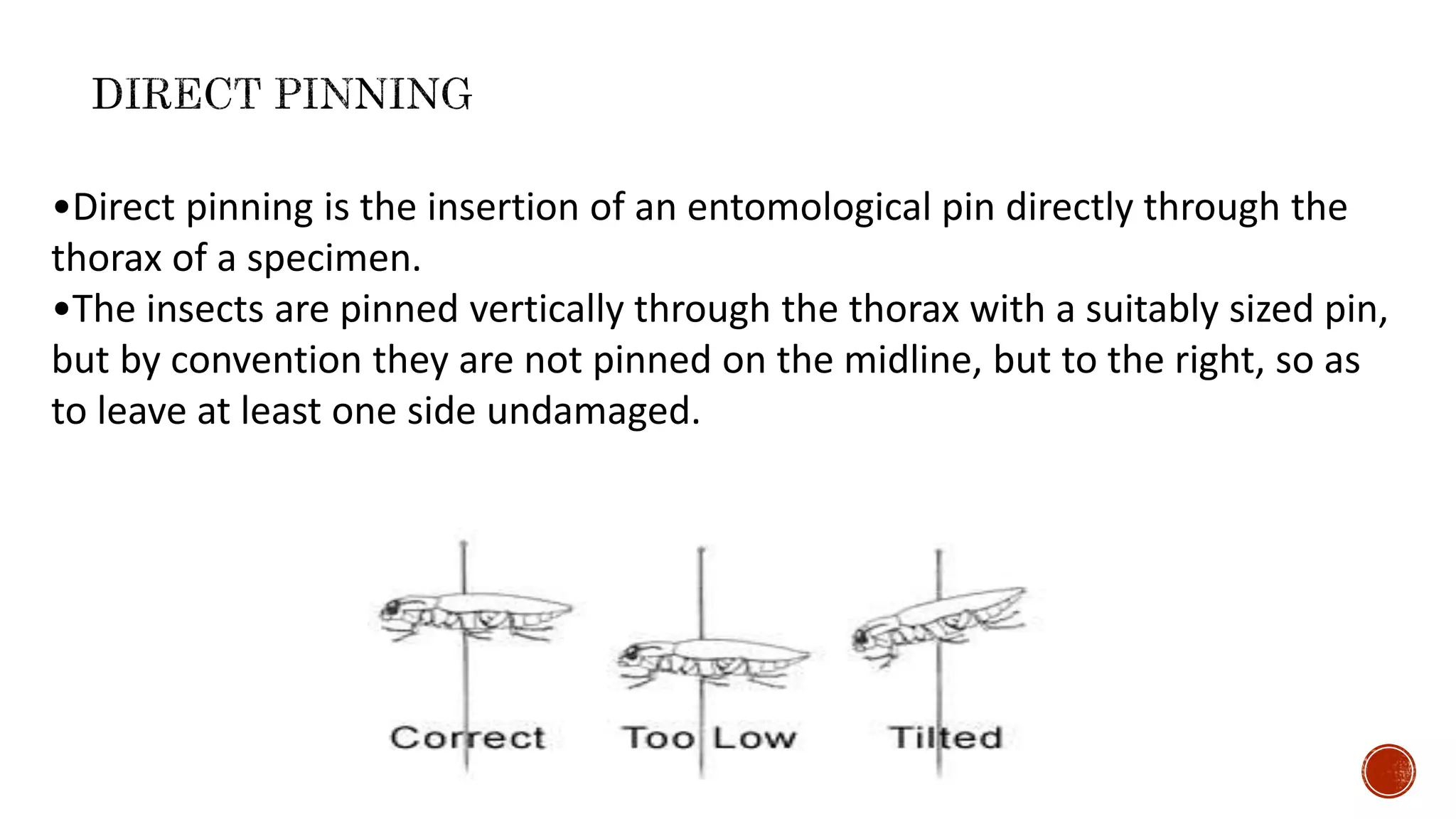 Taxonomic procedure.pptx
