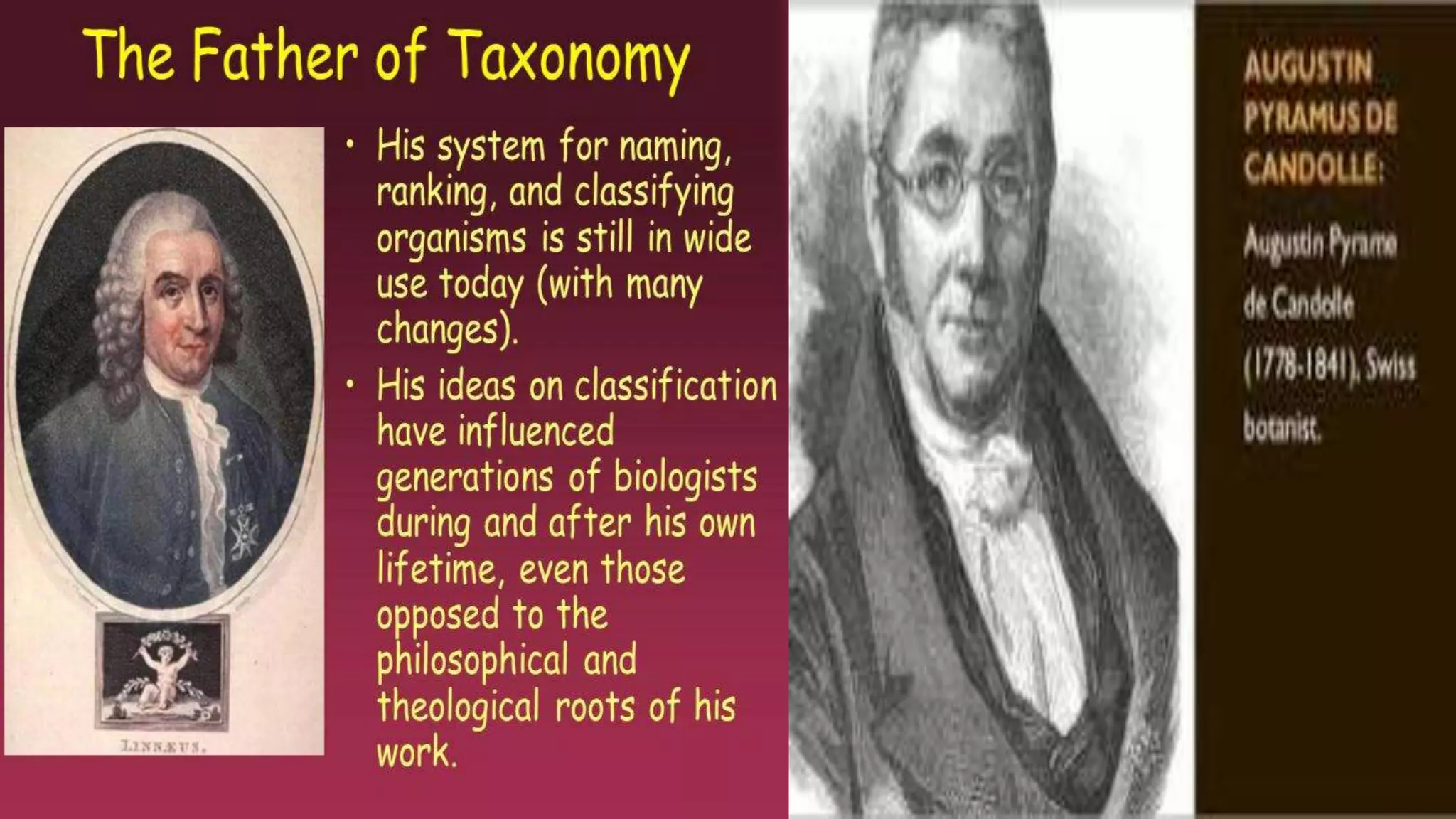 Taxonomic procedure.pptx