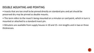 Taxonomic procedure.pptx