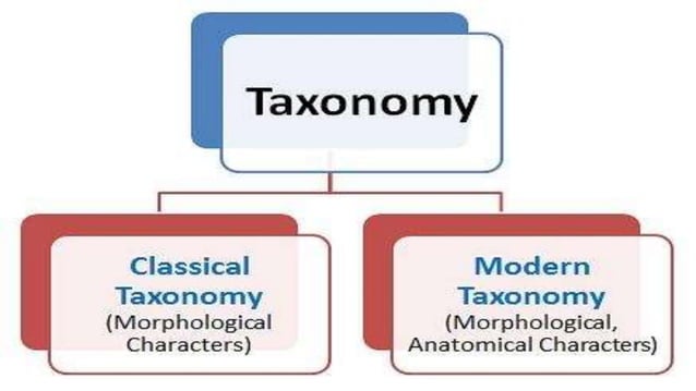 Taxonomic procedure.pptx