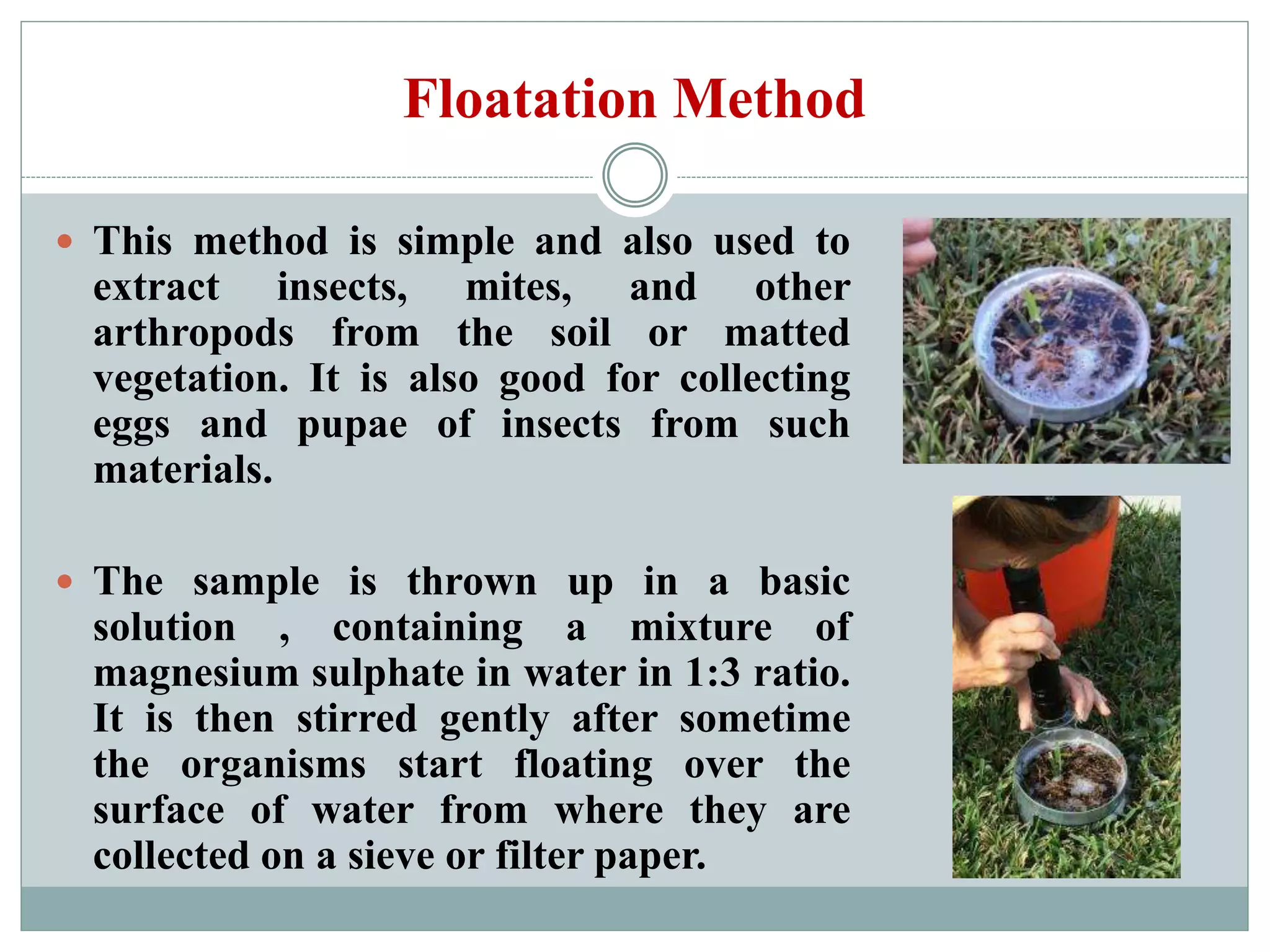 Taxonomic procedures.pptx