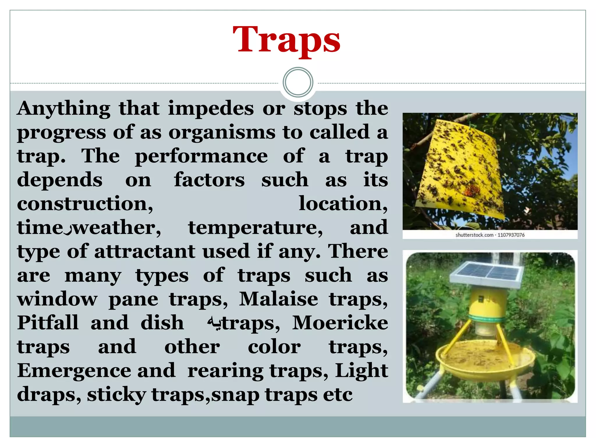 Taxonomic procedures.pptx