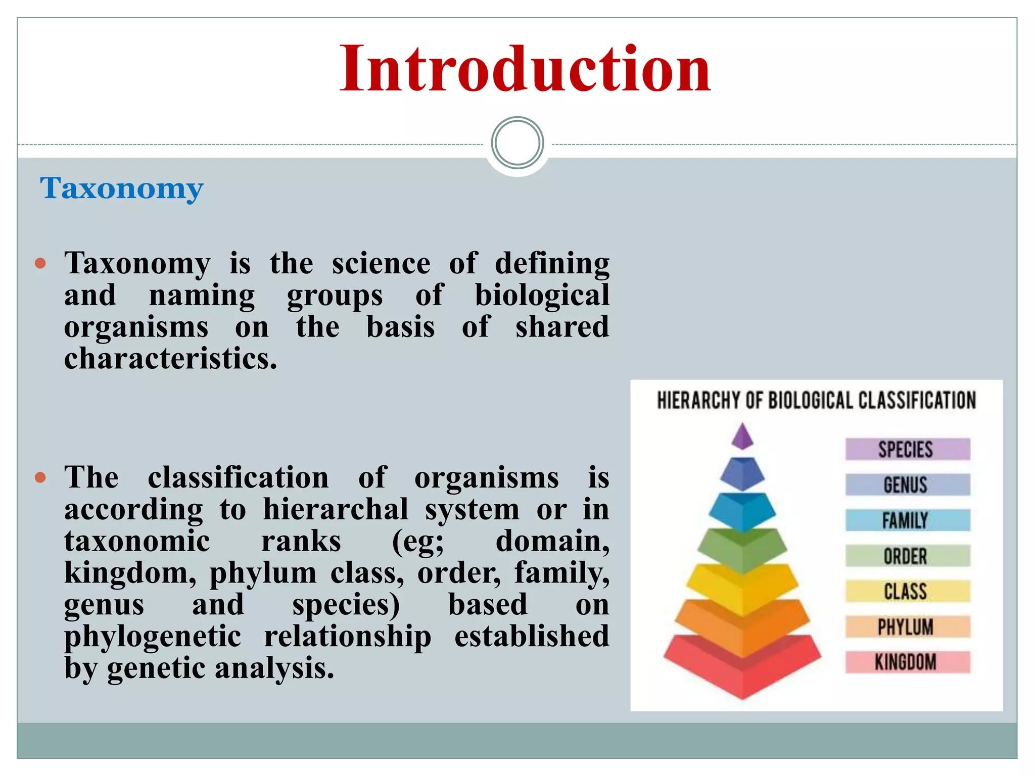 Taxonomic procedures.pptx