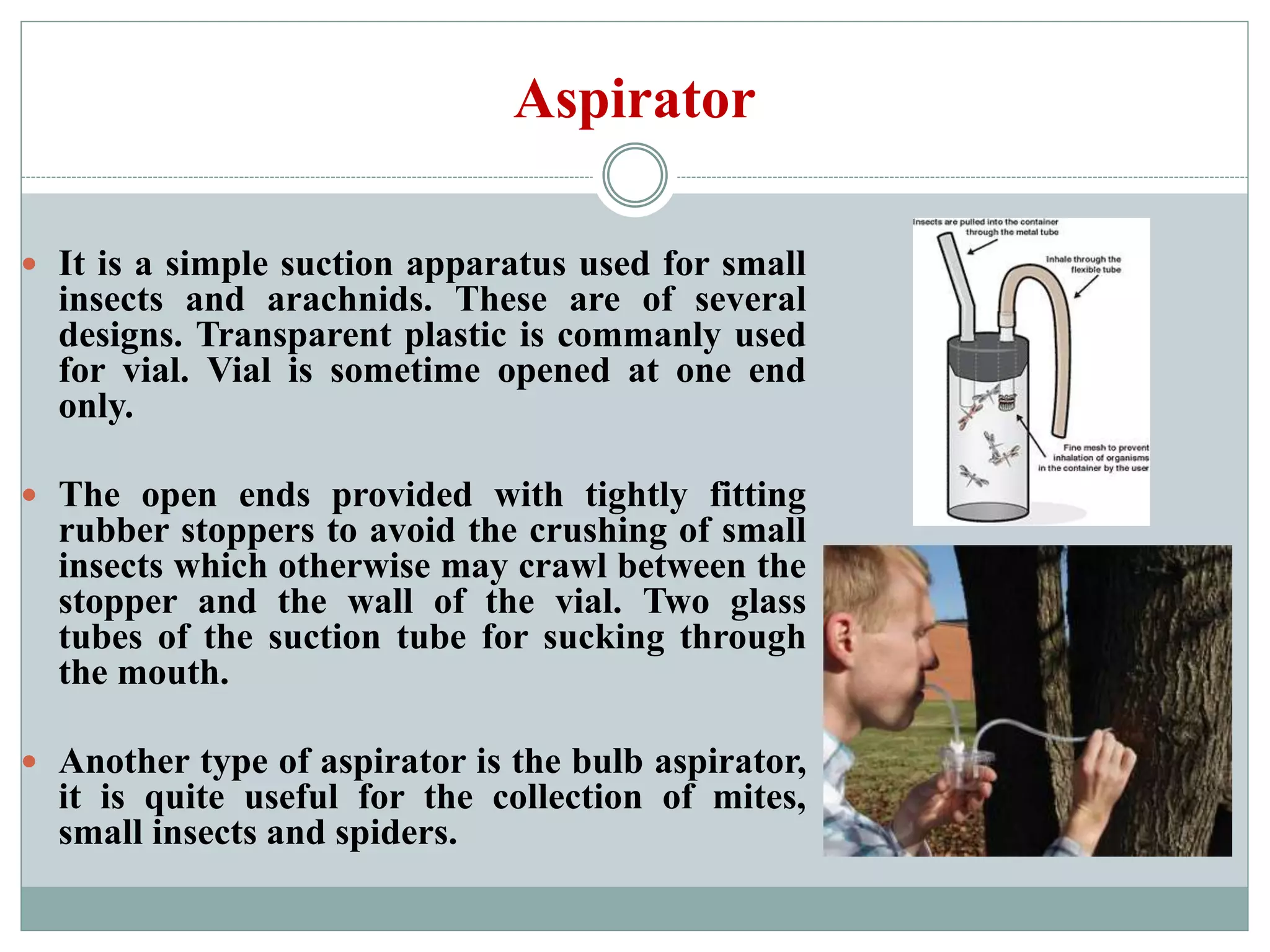Taxonomic procedures.pptx
