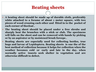 Taxonomic procedures.pptx
