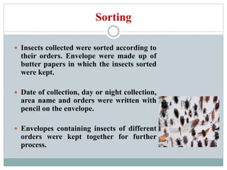 Taxonomic procedures.pptx