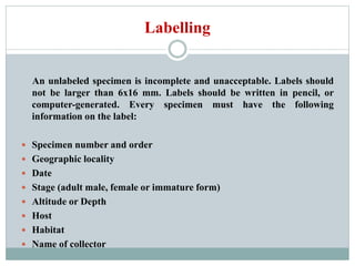 Taxonomic procedures.pptx