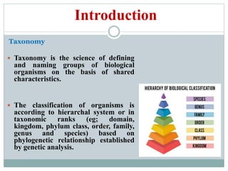 Taxonomic procedures.pptx