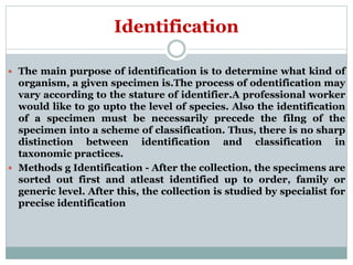Taxonomic procedures.pptx