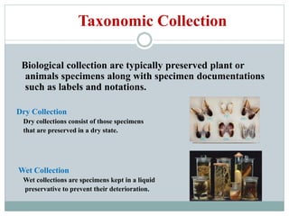 Taxonomic procedures.pptx