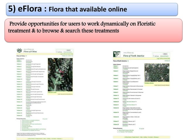 Taxonomic tool of flora | PPTX