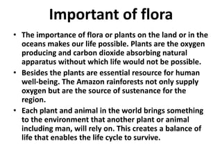 Taxonomic tool of flora | PPTX