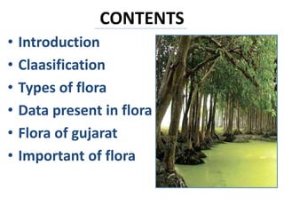 Taxonomic tool of flora | PPTX
