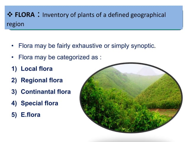 Taxonomic tool of flora | PPTX