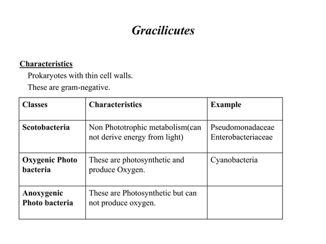 Taxonomic tree of bacteria. | PPT
